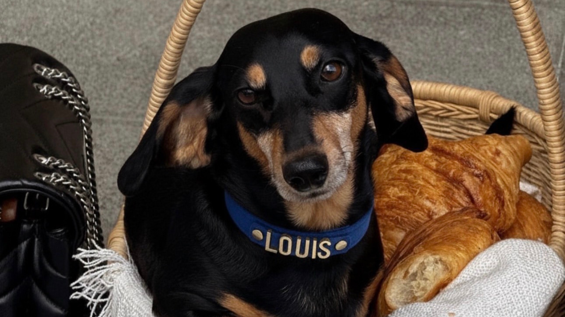 Ready to Ship – PAW LONDON